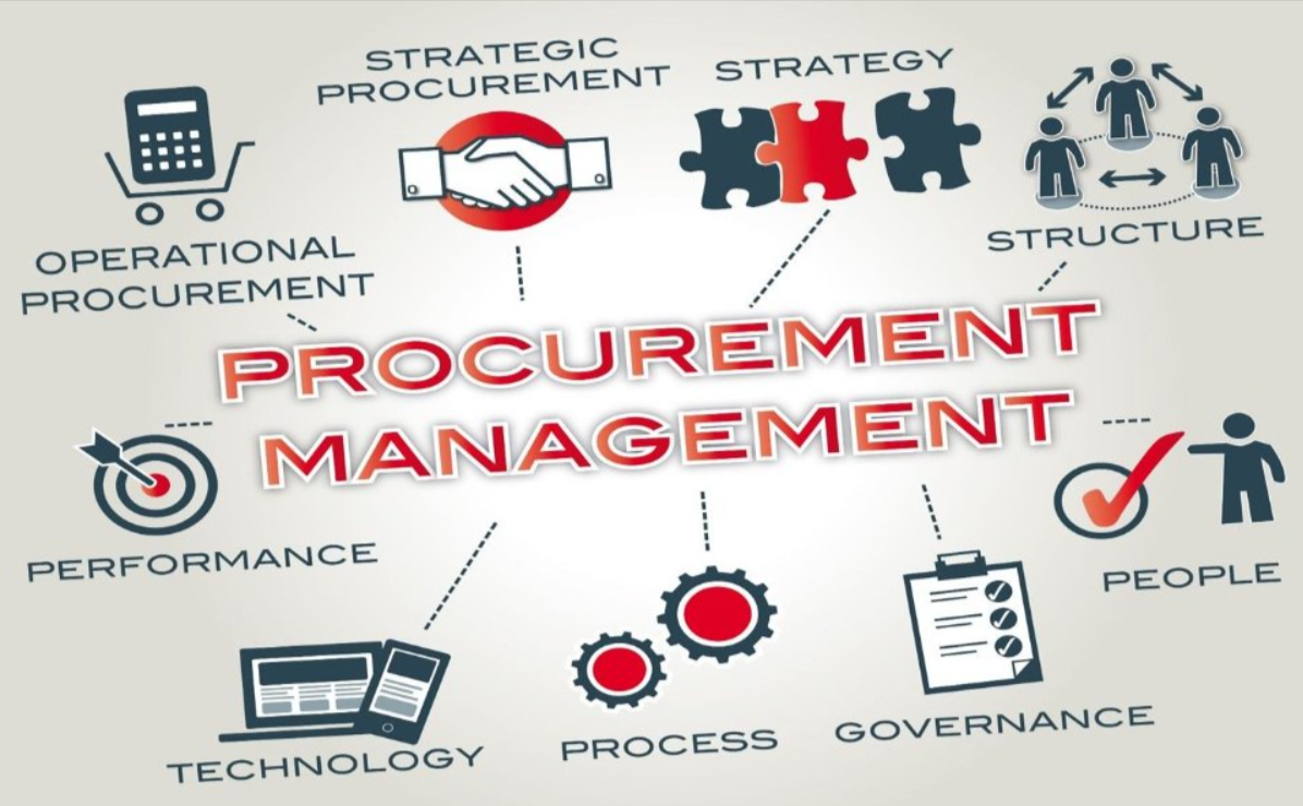 Understanding procurement management systems: Key insights | Next Scope